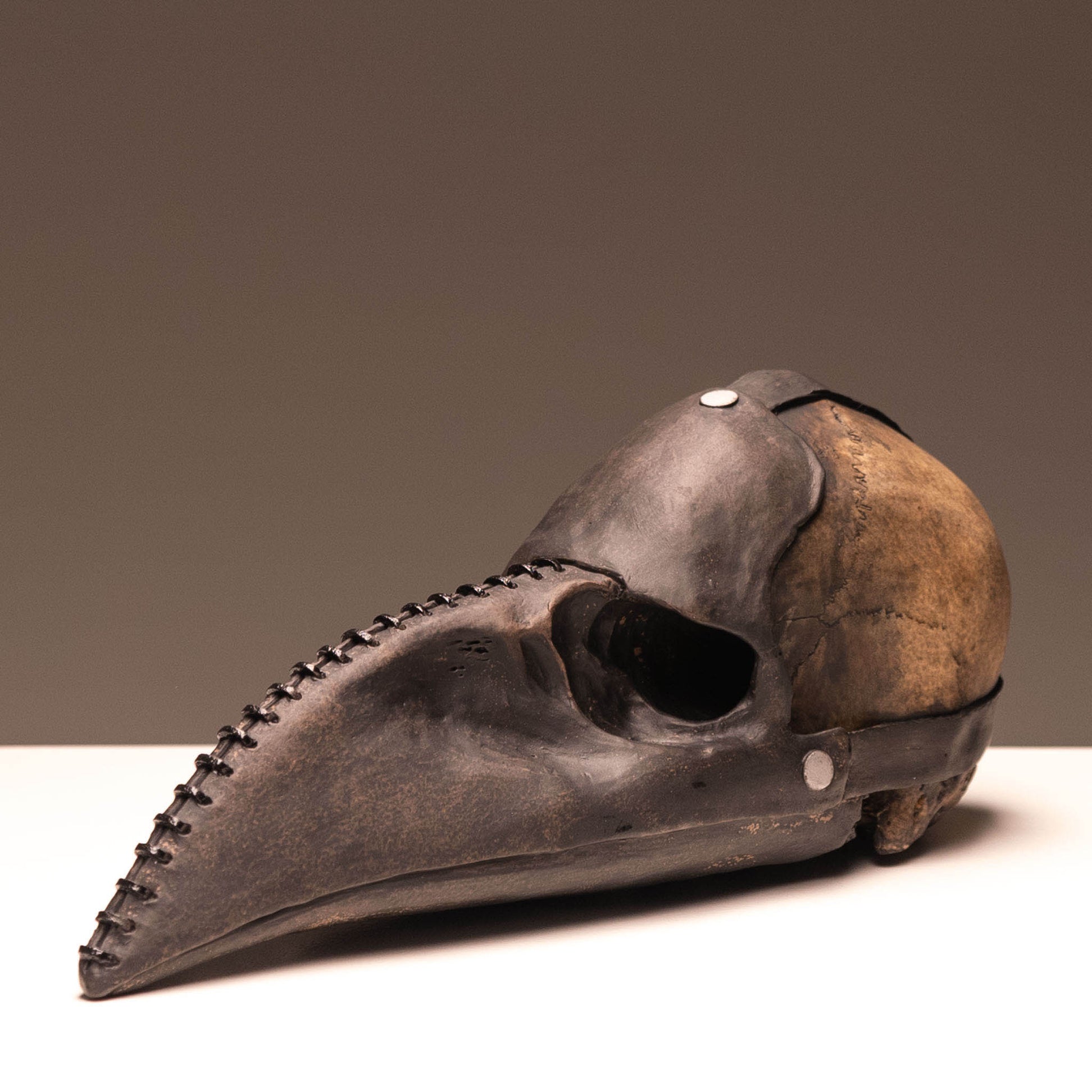 Plague Doctor Skull - Bubonic – Jack of the Dust