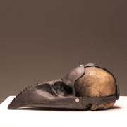 Plague Doctor Skull - Bubonic – Jack of the Dust