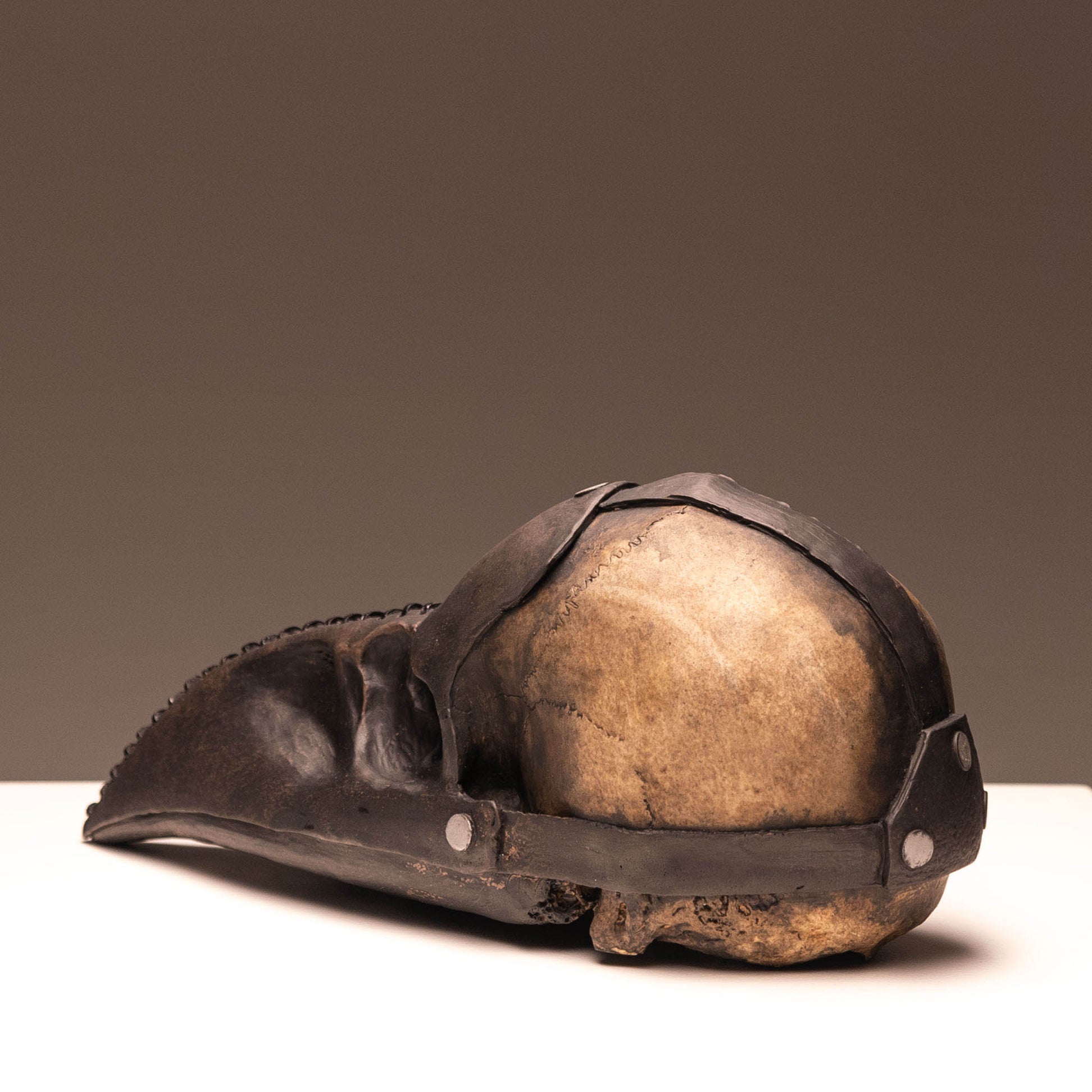 Plague Doctor Skull - Bubonic – Jack of the Dust